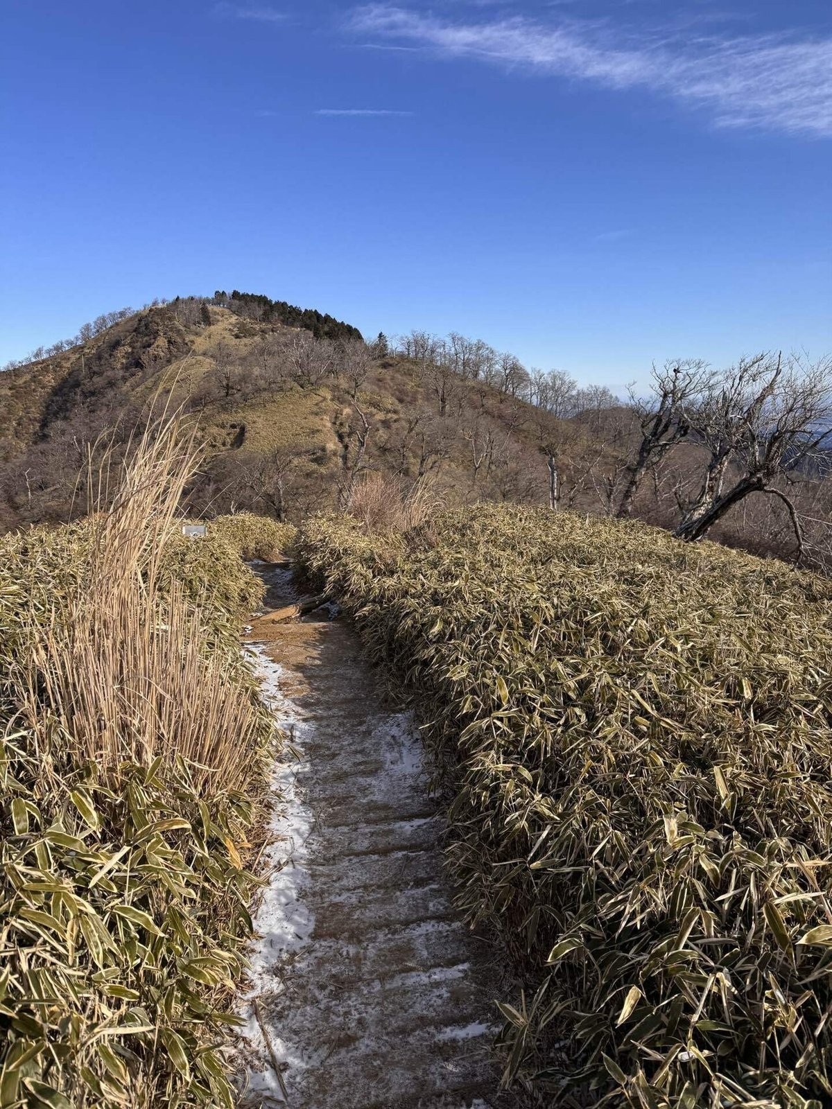 登山Level.81 YAMAP丹沢ハイカーデジタルバッジを目指して｜ErikonB