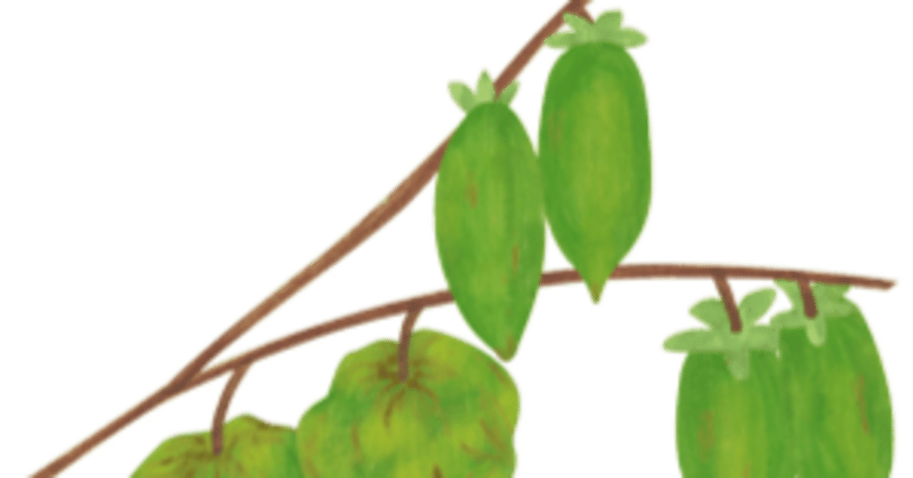 今日のねこ@250303｜双子のドラ猫