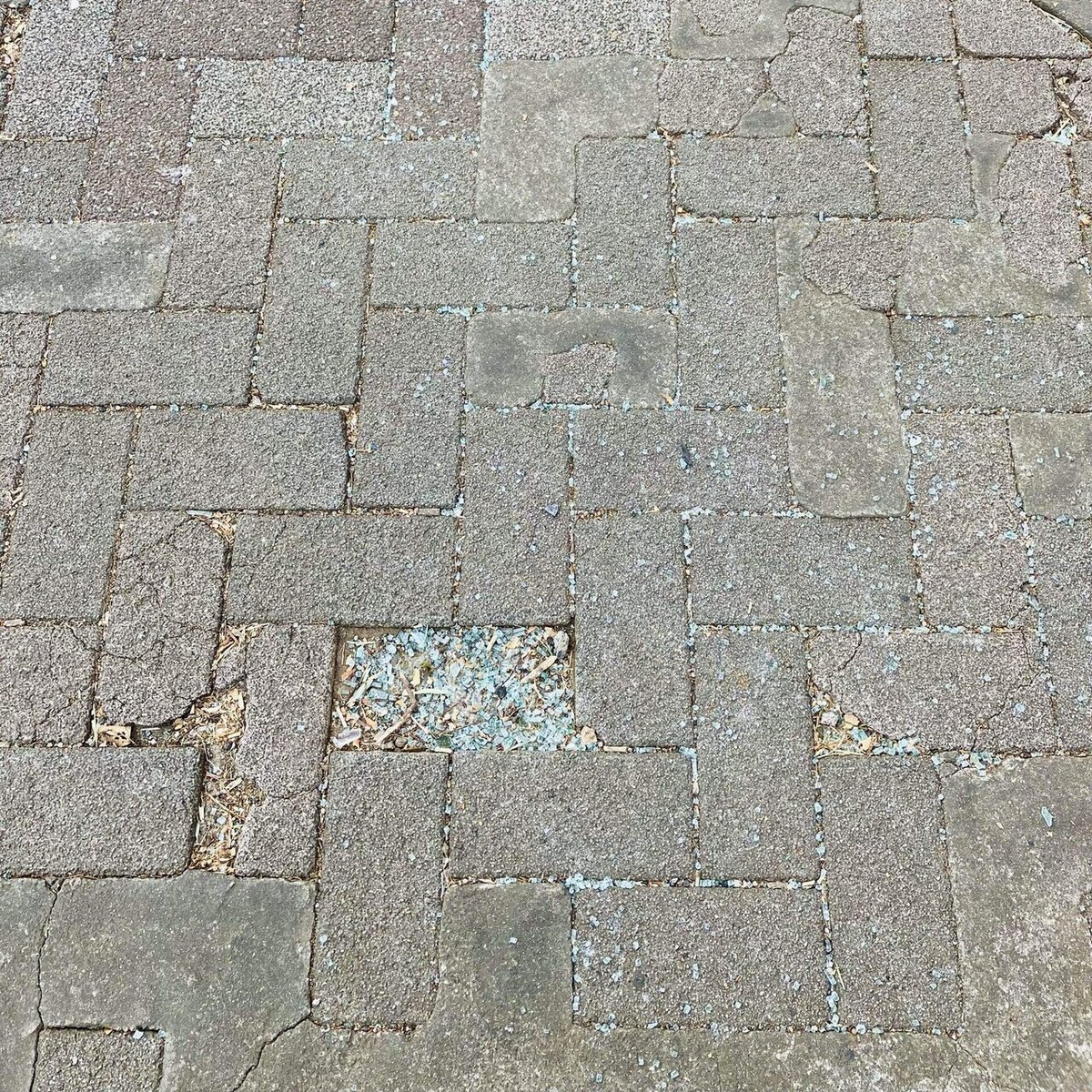 2025年3月の日常｜susumu