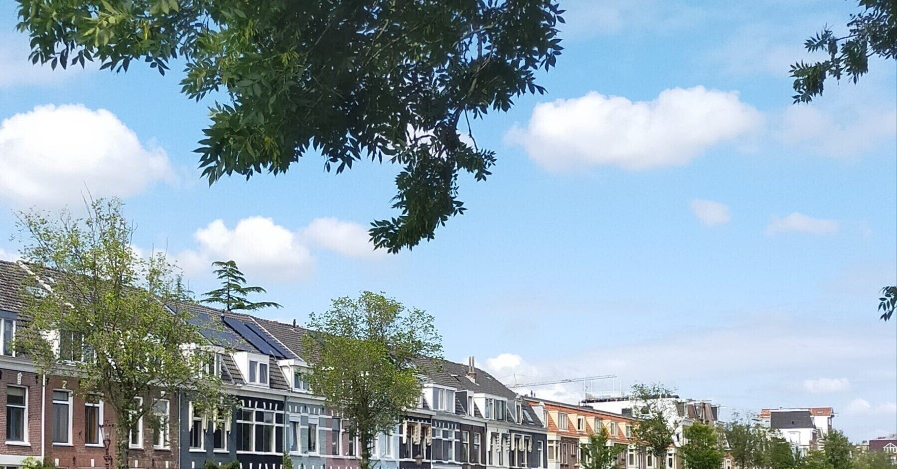 Noa (Kiro Career)｜note