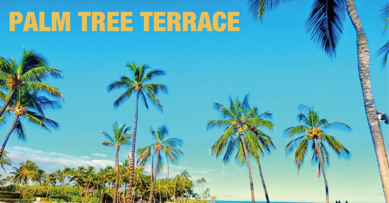 -走る南国- PALM TREE TERRACE｜note