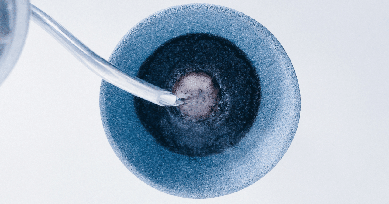 小松島2R 09:15締切☕️🪭☕️至福の朝☕️🪭☕️｜Princesse