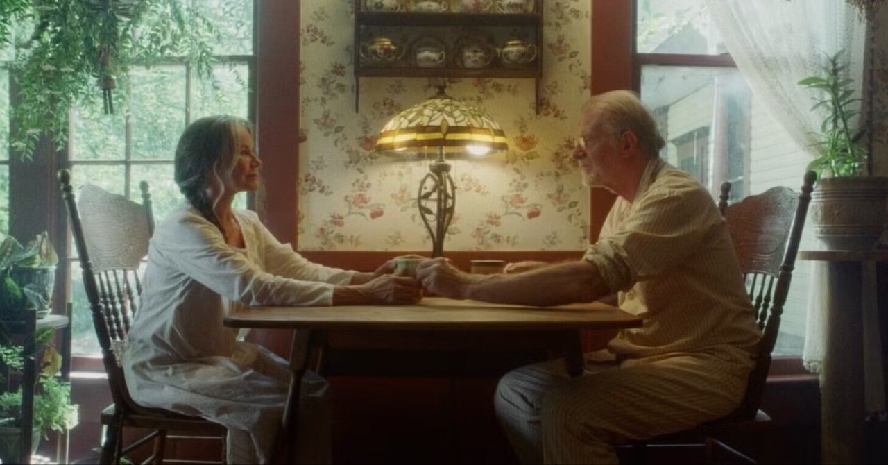 STRANGE DARLING / ストレンジ・ダーリン｜eigadays