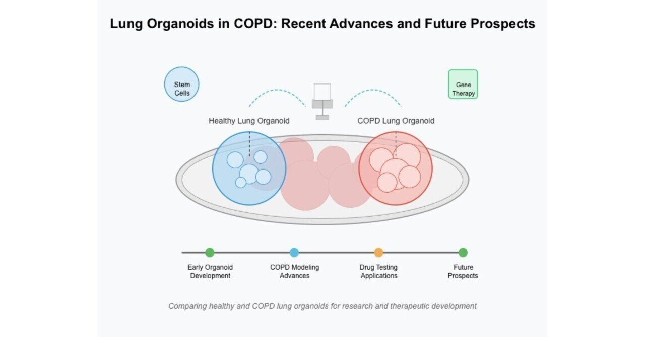 COPDの肺オルガノイド:多種細胞由来肺オルガノイド生成プロセスとCOPD研究｜Makisey