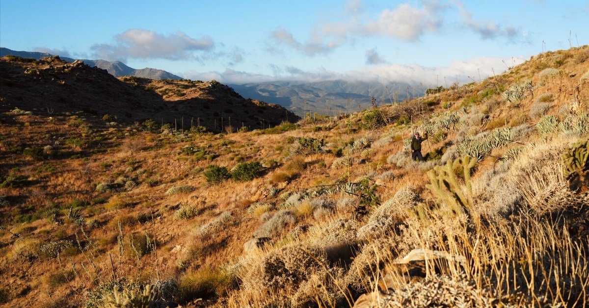 2024年PCT（Pacific Crest Trail）後編｜yusuke_aruko55