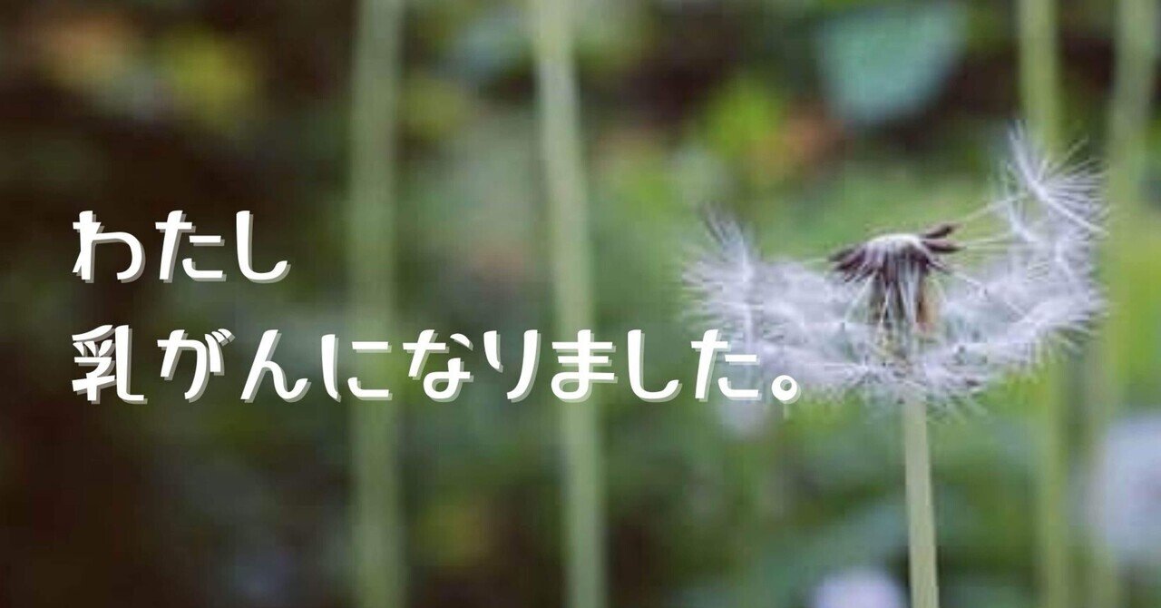 小さなきっかけ｜8 / haccis