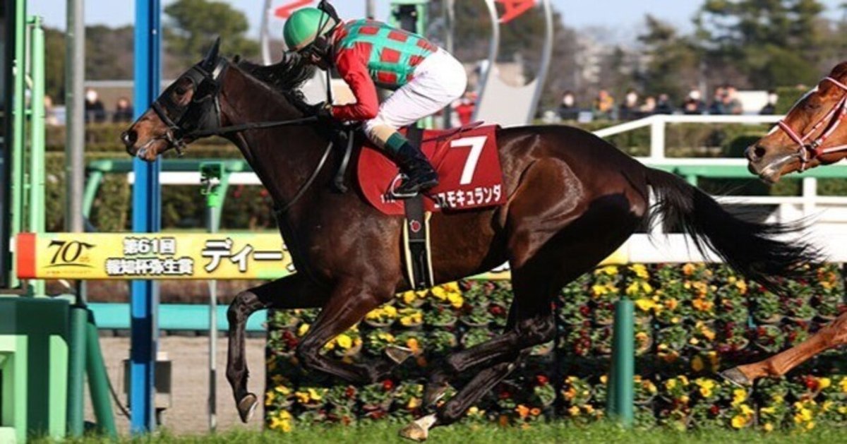 弥生賞 No.1｜shige