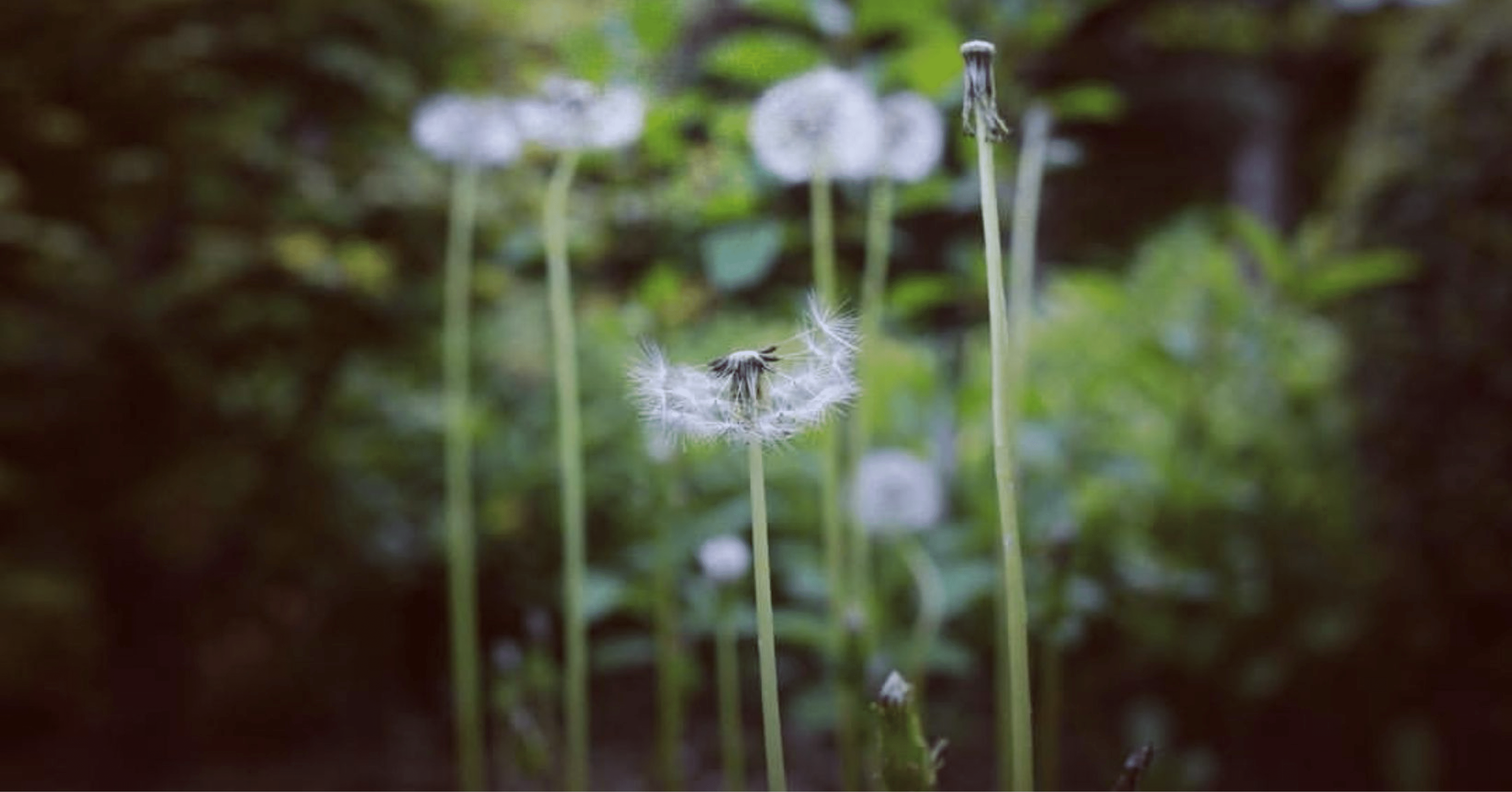 わたし。乳がんになりました。｜8 / haccis｜note