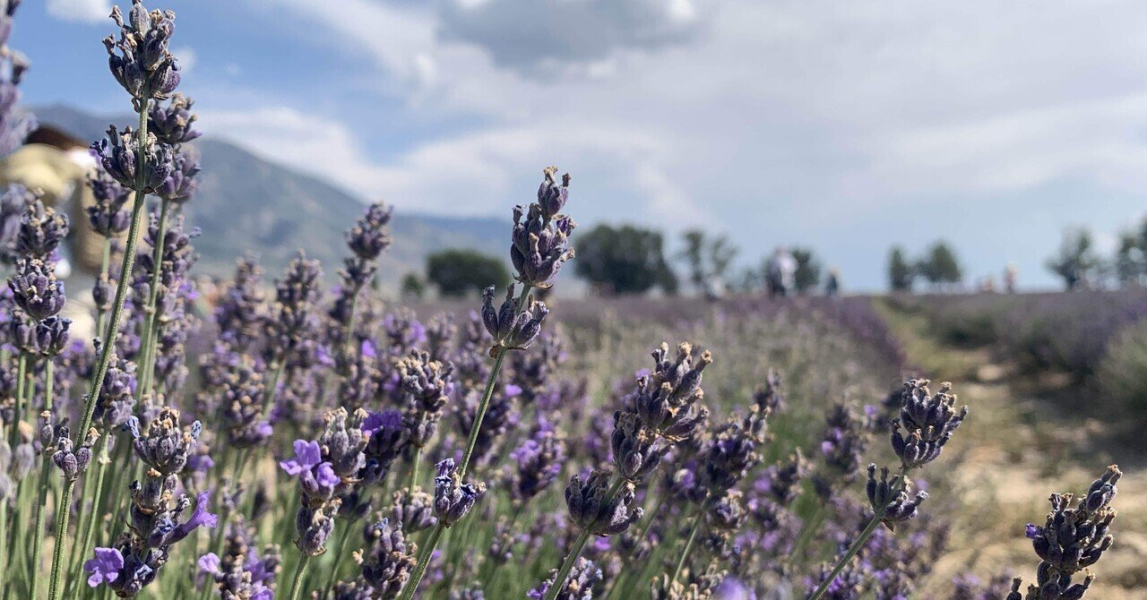 Oさんとオイルの匂い｜小林 純 JUN KOBAYASHI