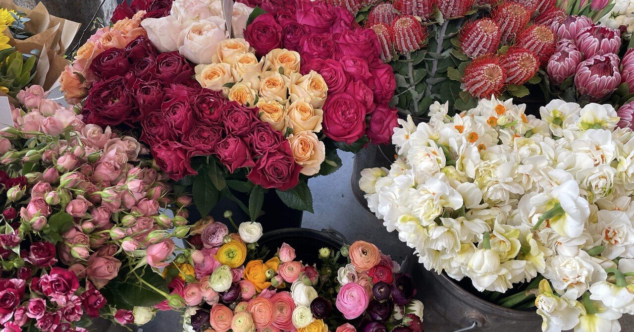 朝活7日目 3/4｜MaiMai