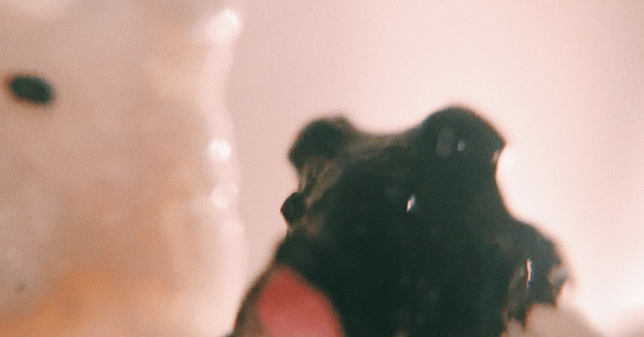 チグとハグ｜Tatsuki Inoue｜note