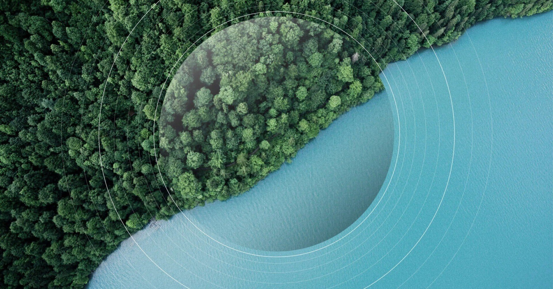 東北大学COI-NEXTネイチャーポジティブ発展社会実現拠点｜note