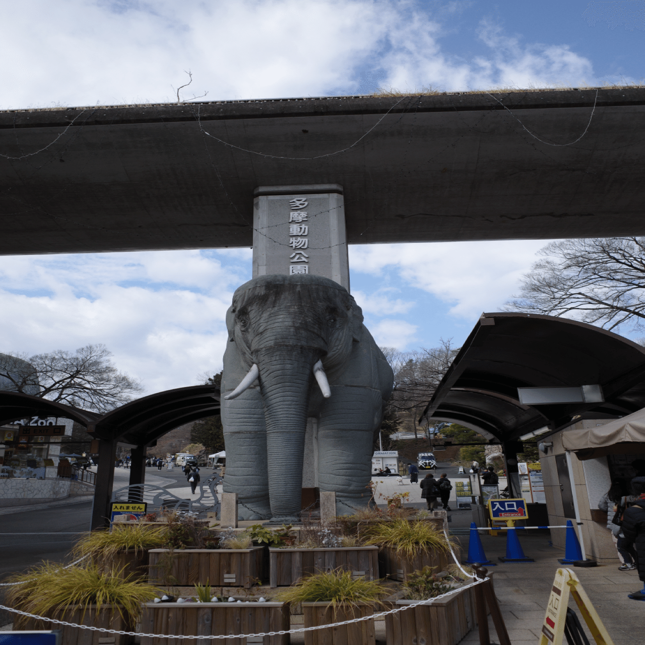 息子に連れて行ってもらった動物園｜Hannah Laboratory｜ハナラボ