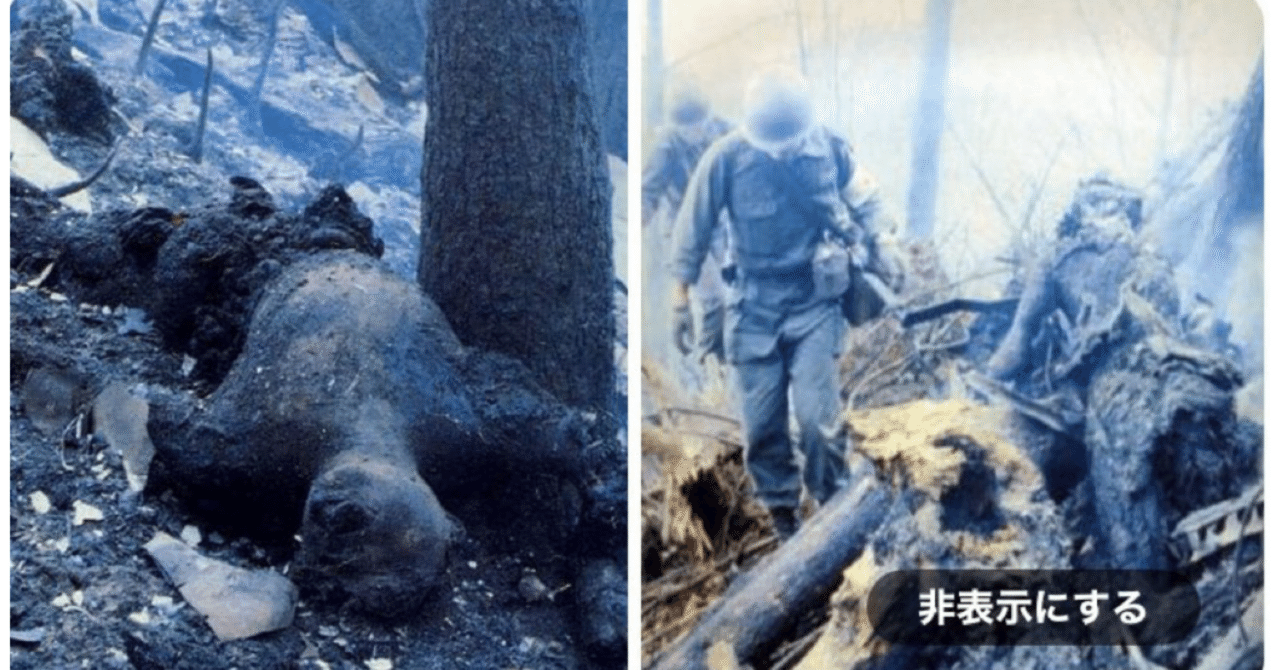 JAL123便、最終報告書！中曽根康弘が墓場まで持っていくと呟いた真相がようやく解明！！＜＞田舎の価値は自然と共生するスローライフ！自分や家族 ...