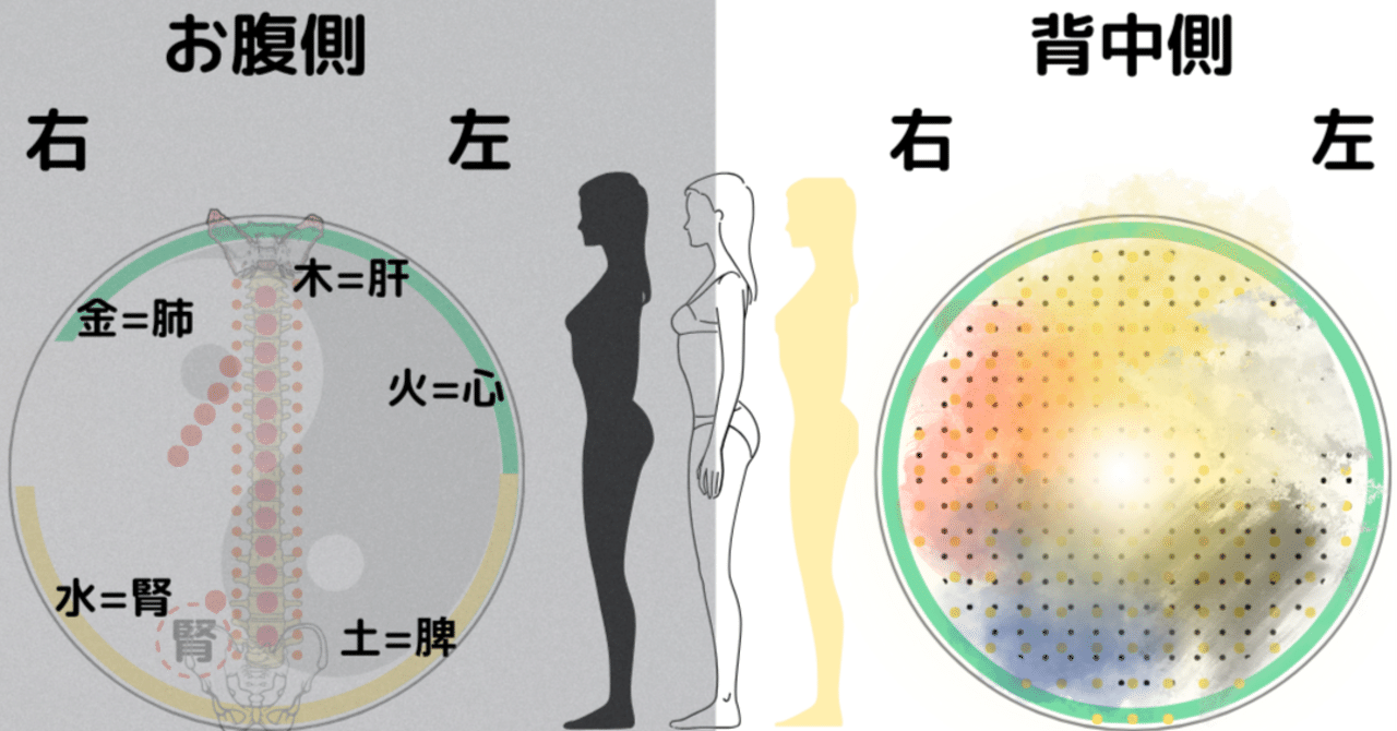 【神経•運命学】科学と運命学の接点（五行説から）1｜自律神経を調える五次元四柱推命 Cosmospace(コスモスペース)