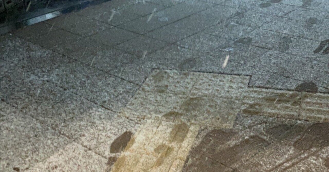 3月の雪⛄️｜ayano