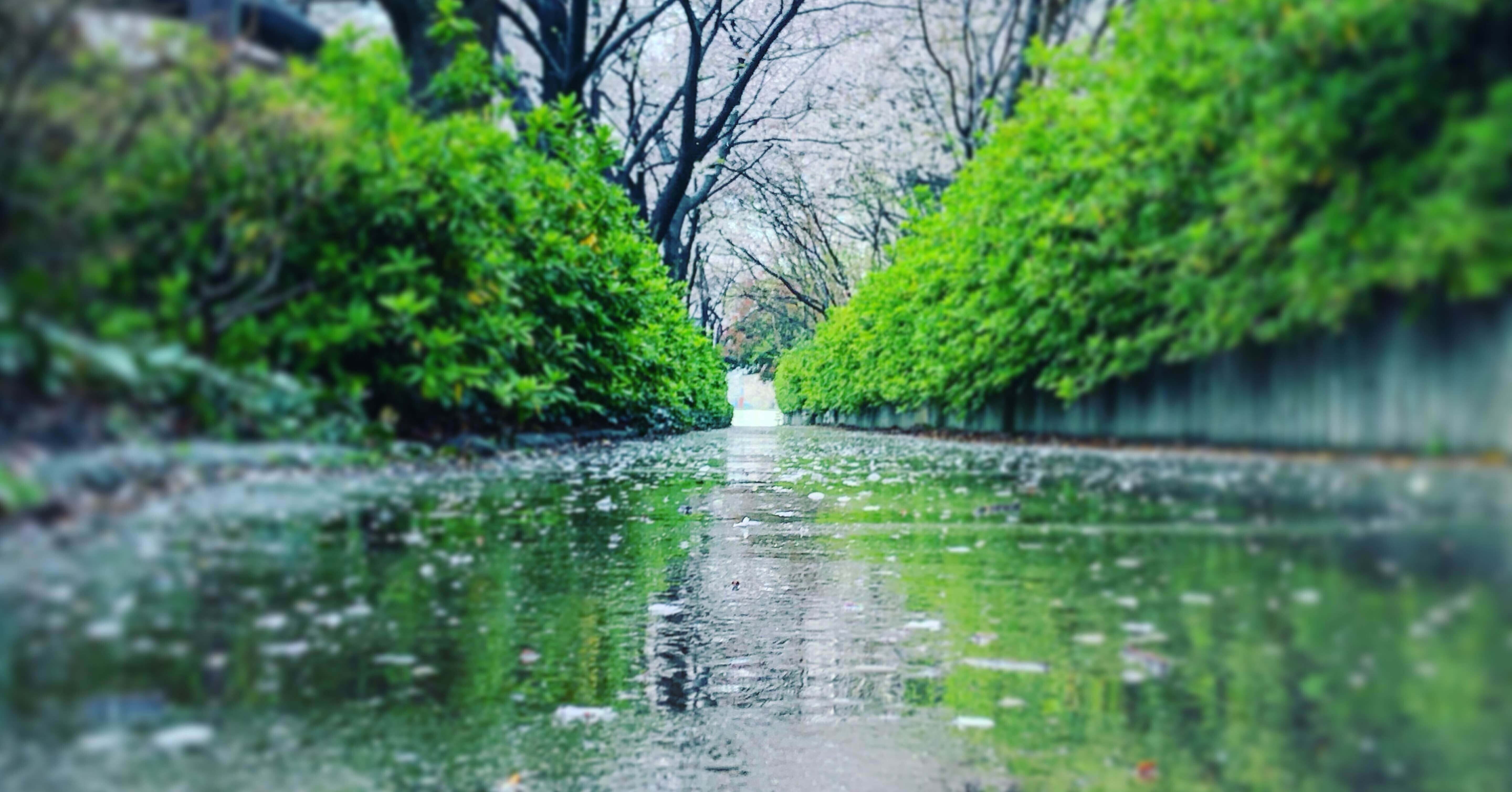 Takaoと ChatGPT｜note