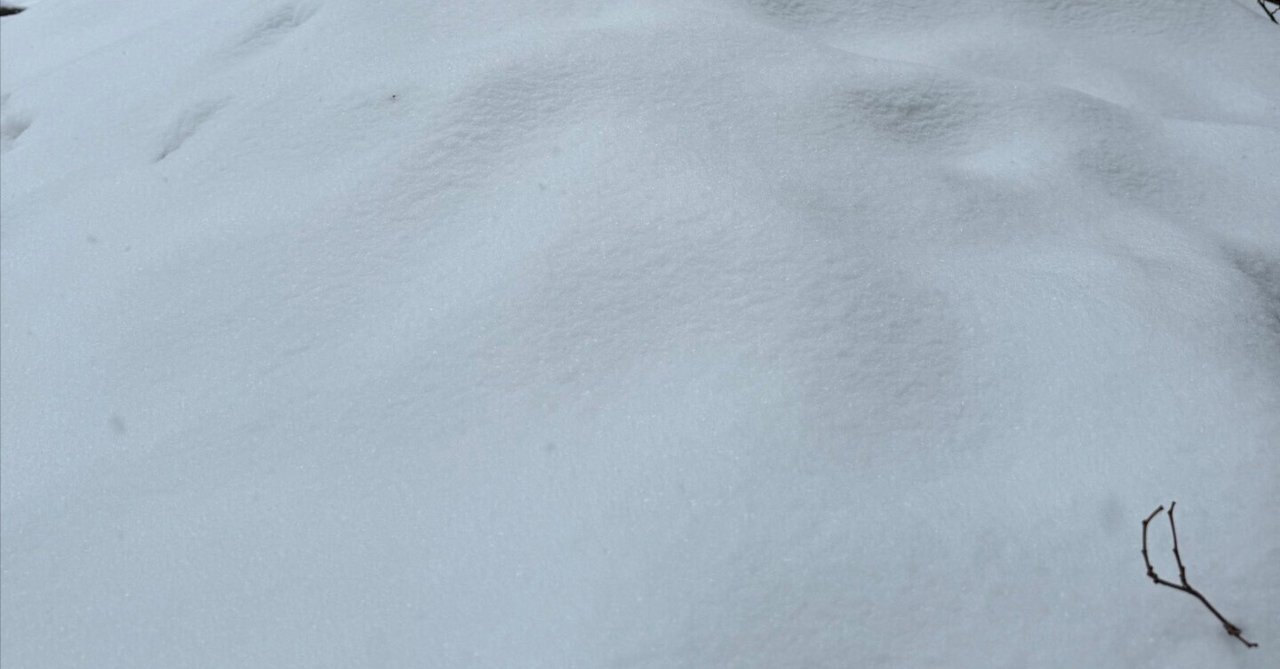 僕と雪に閉ざされた思い出｜けこぜろ / ke-ko0