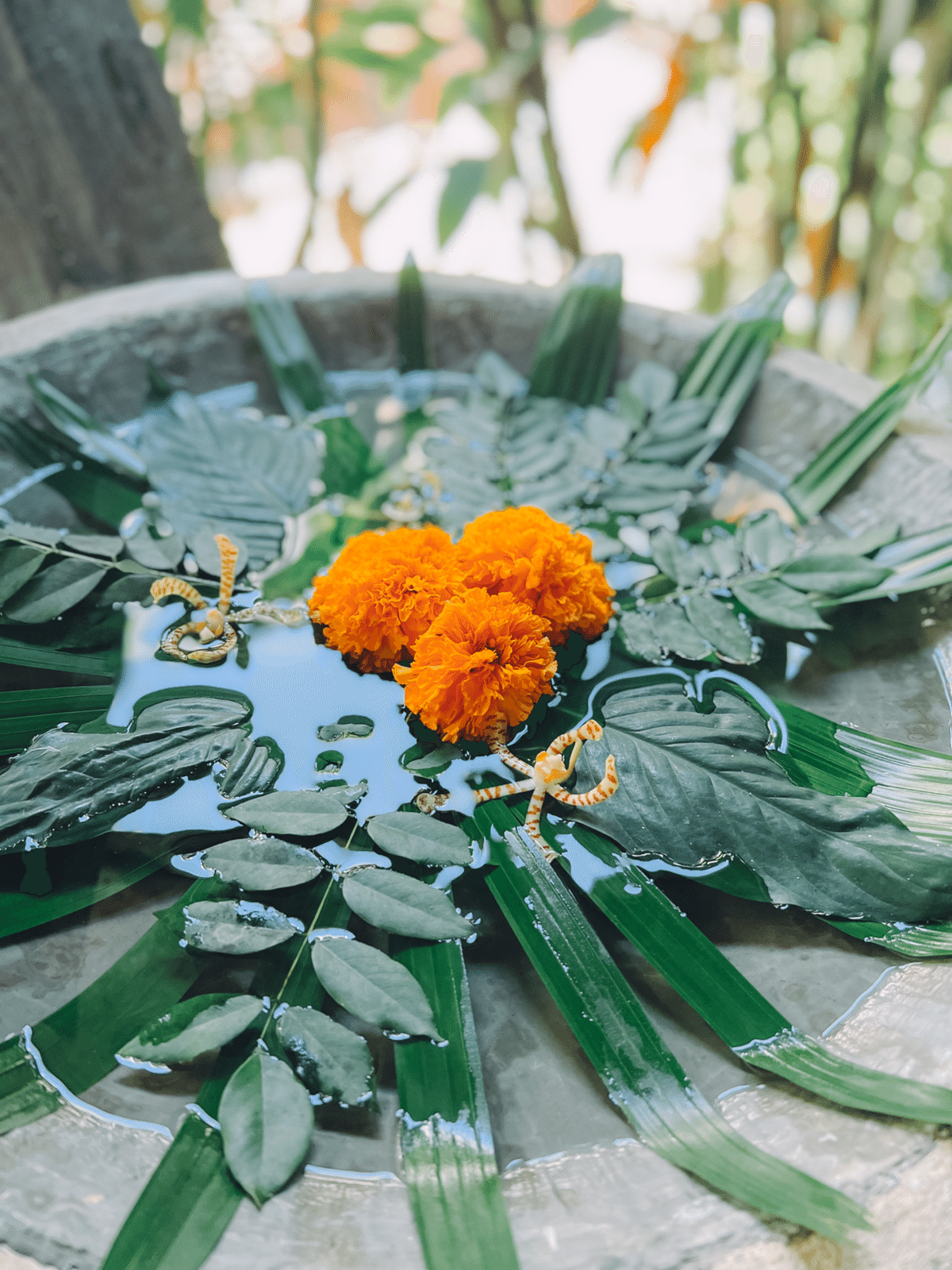 お金の不安の正体｜MAYA