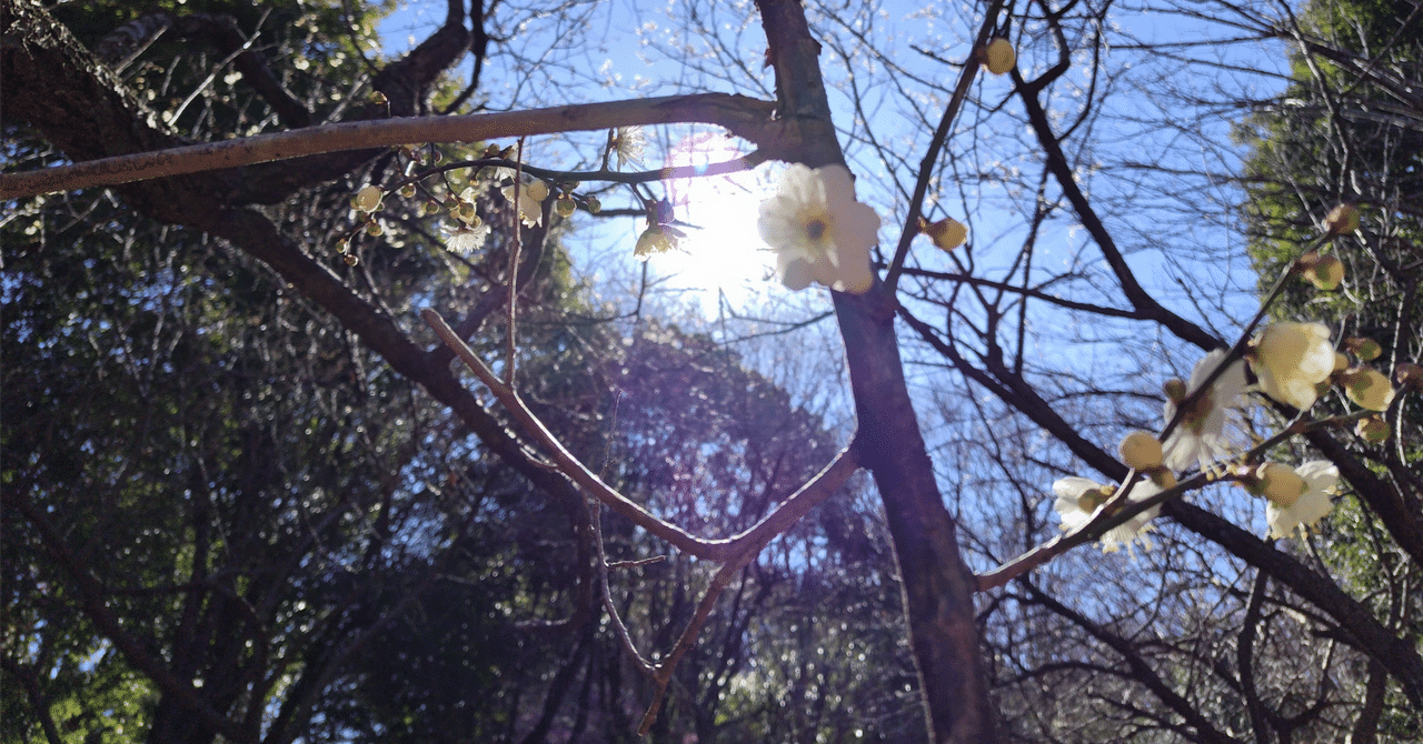 書庫整理｜Matti-s