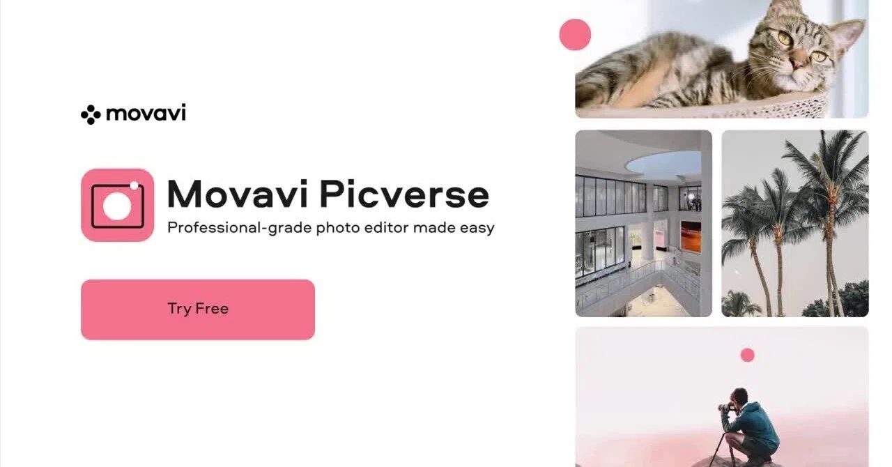 Movavi Picverse 写真管理・編集ツールの実践レビュー｜cyberai