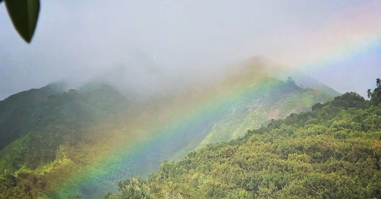 絶賛こじらせ中の次女｜Mieko Horikoshi