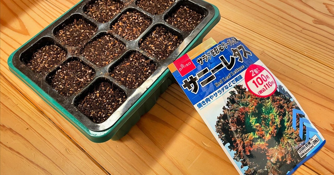 今年も無限サニーレタスした。｜plm_kurashi