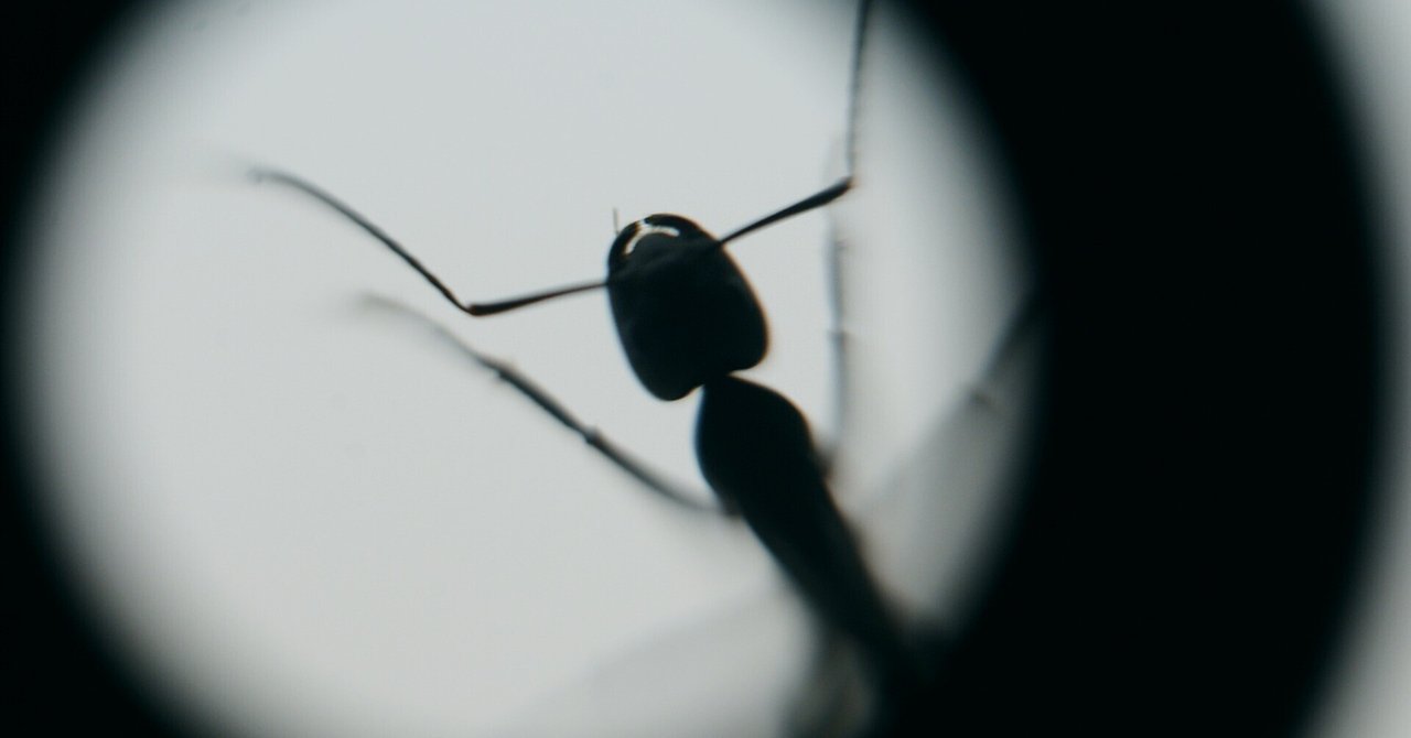 ともだちって：Anizine・PDLB｜ワタナベアニ