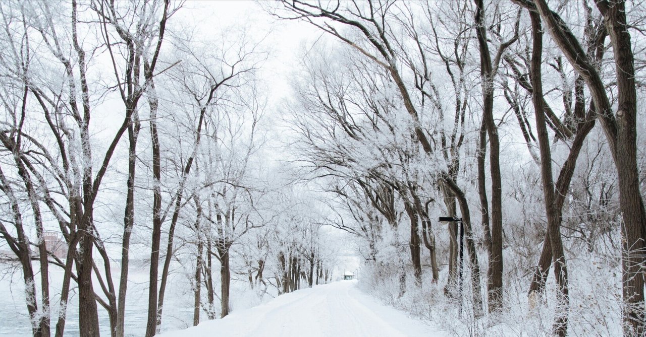 地域貢献はどこでもできる｜【fl-ayaka】角綾夏(すみあやか)
