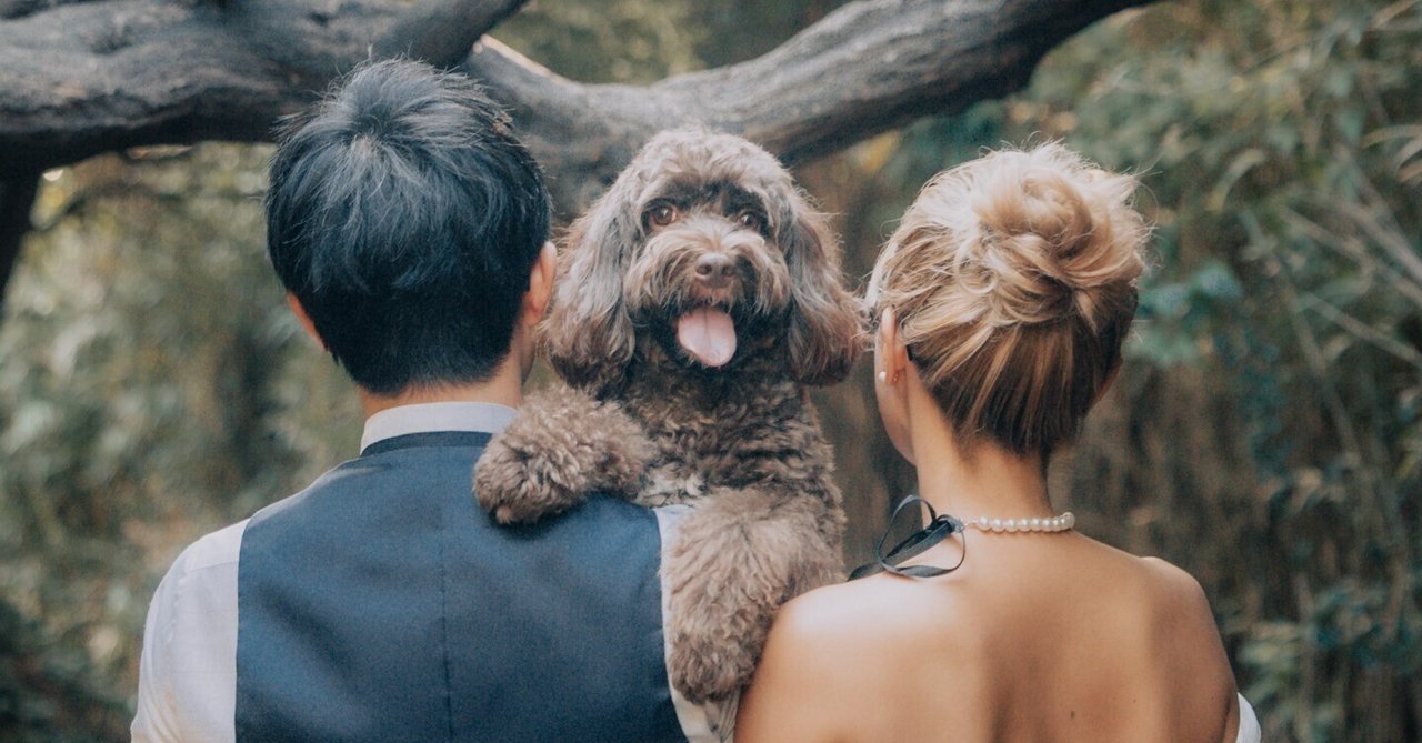 わんちゃんと一緒に。家族の思い出を写真で残す【EmoLy】｜ウェディング前撮り | EmoLy（エモリー）