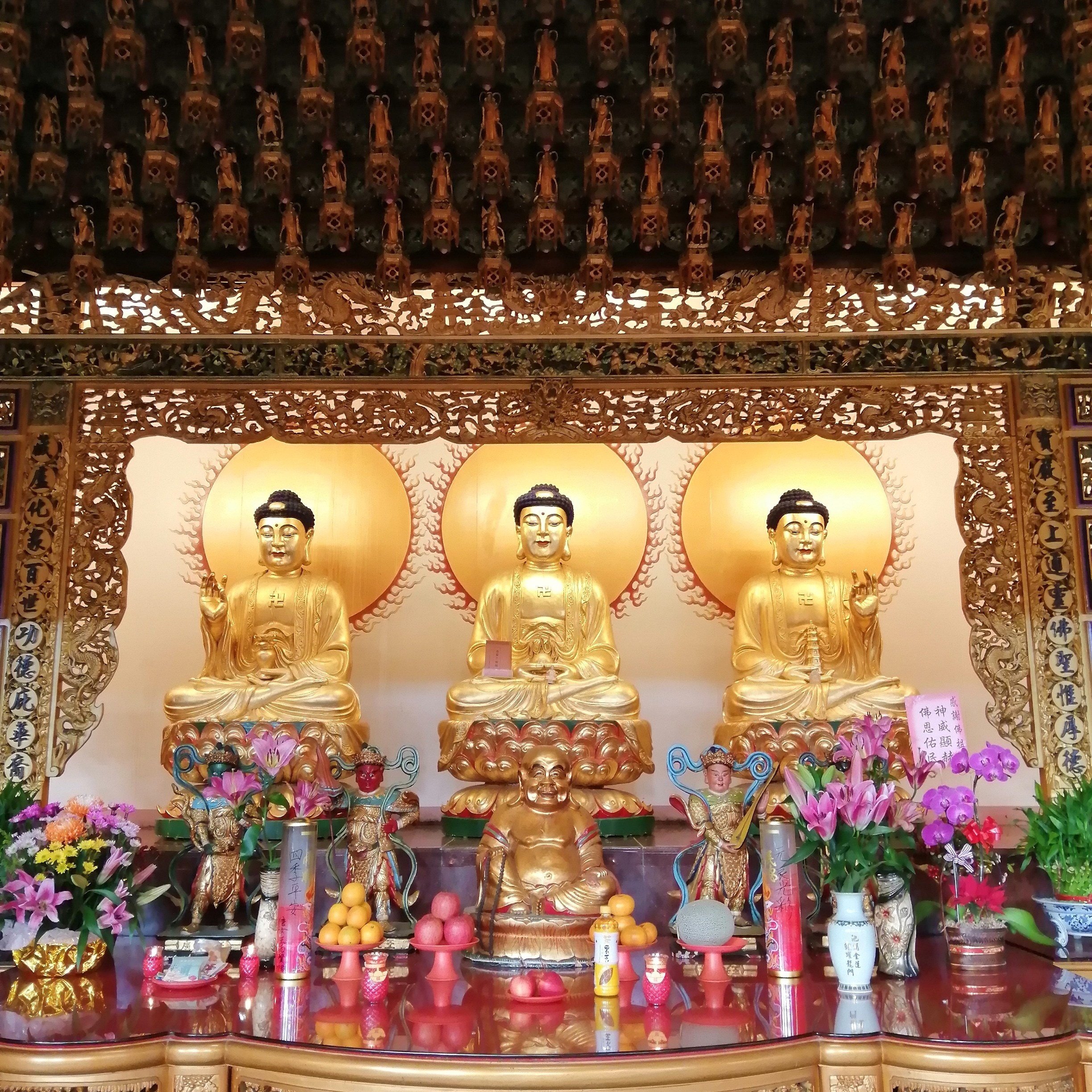 Butoh Artist in Residence, 台北｜我妻恵美子 AGAXART EmikoAgatsuma｜note