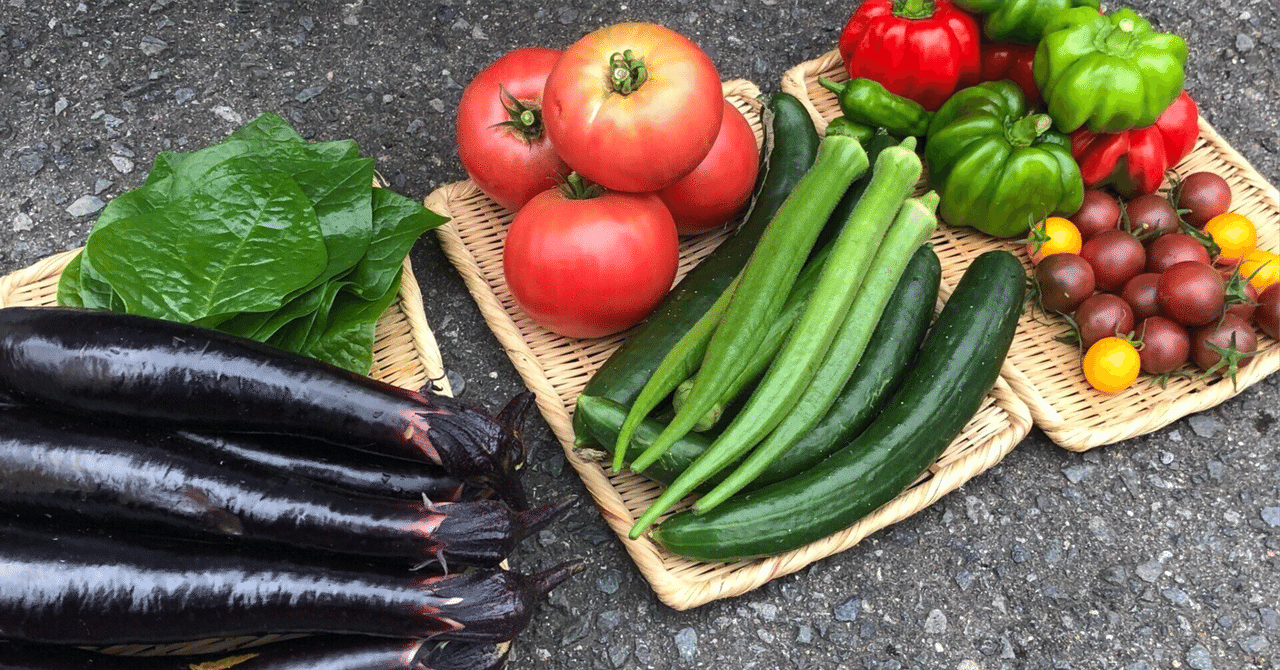 古のオタク文化を思い出す｜綾川ちゆき