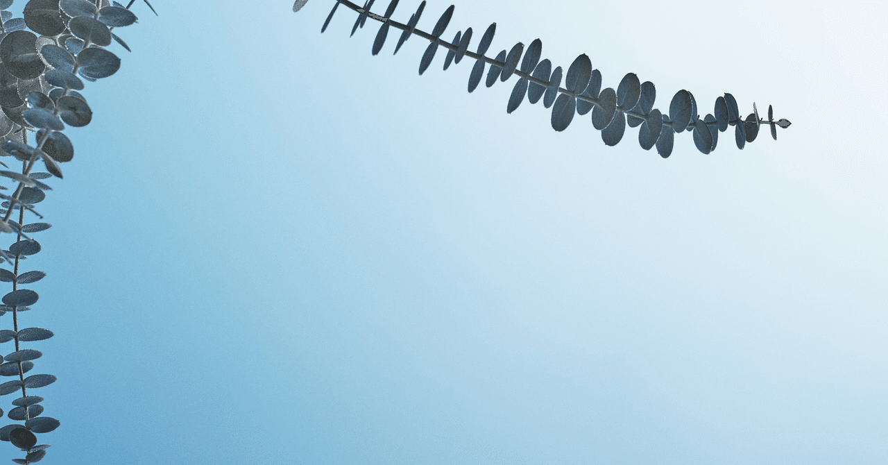 ワーママキャリアの葛藤。｜haruna