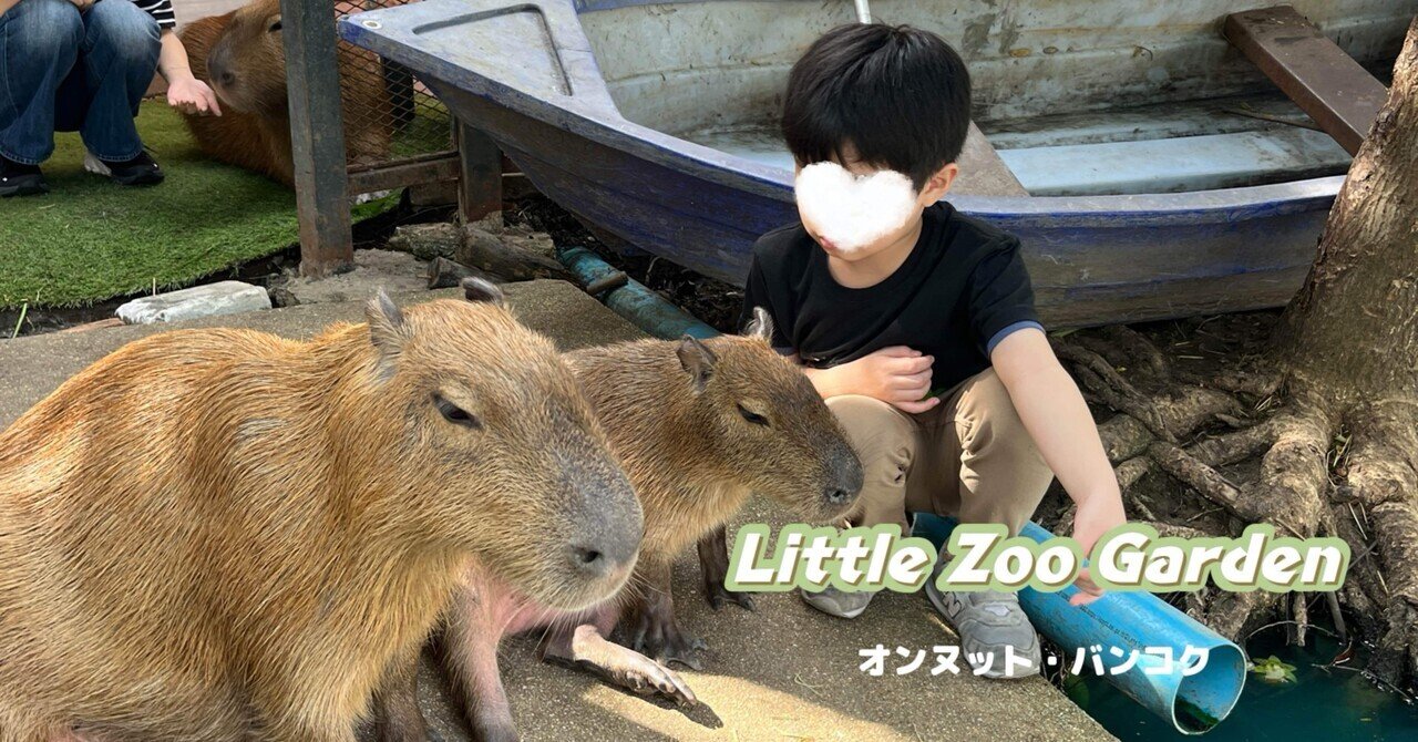 バンコク・オンヌットの穴場！動物たちとふれあえる「リトルズーガーデン Little Zoo Garden🌳」｜Bua in Thailand