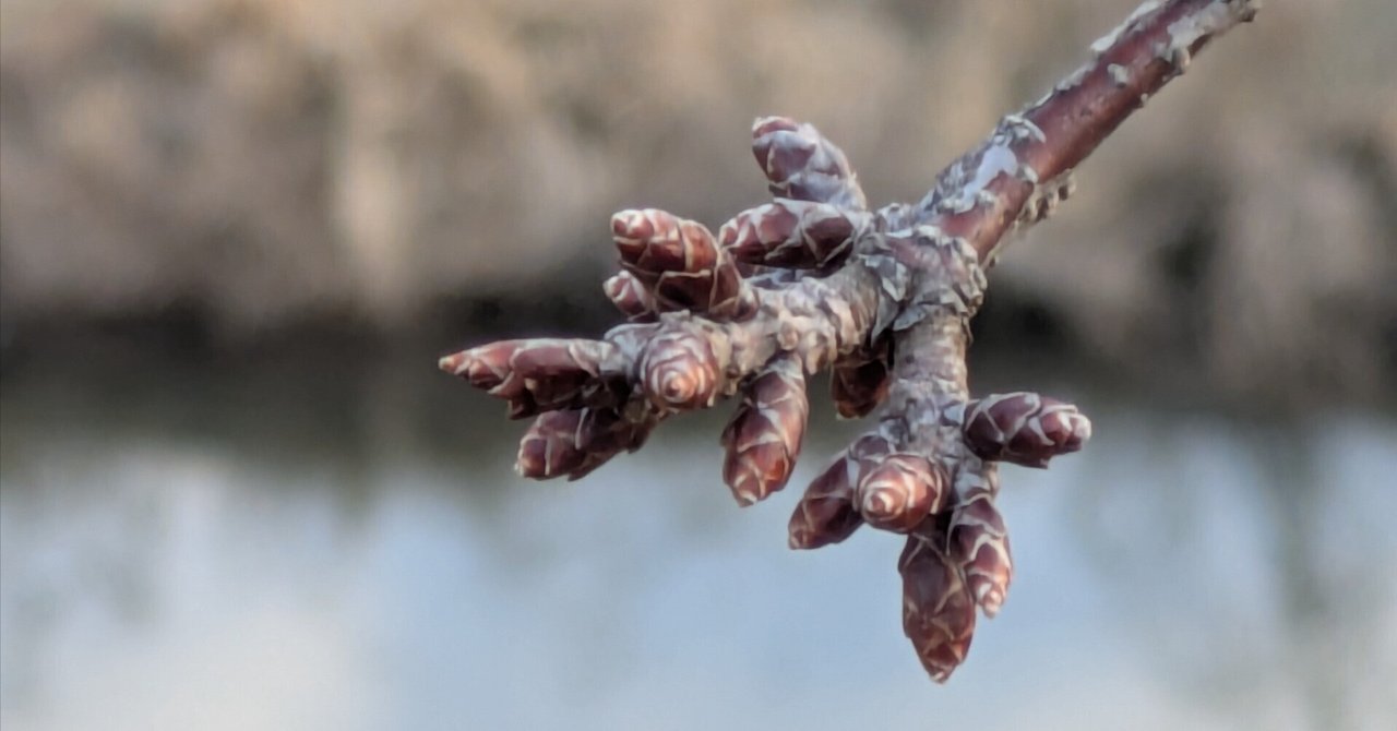 第3巻歌番号463番歌 作者 大伴家持｜ichiro70