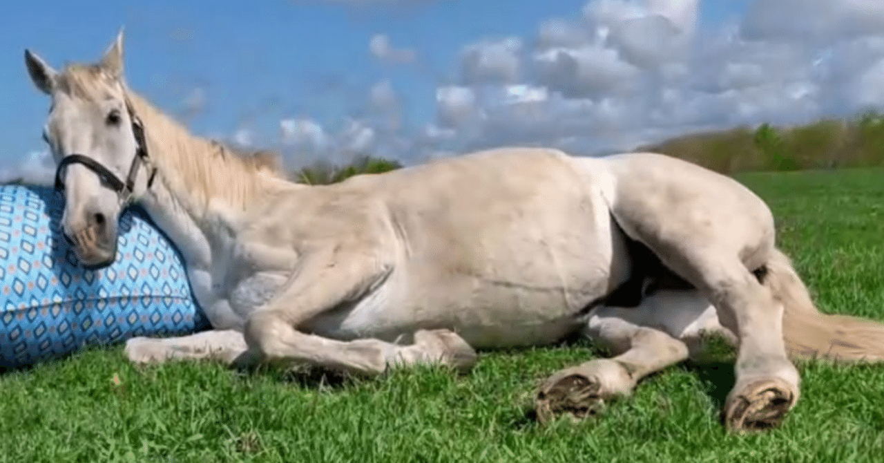 2025.3.8中山12R｜456famnao