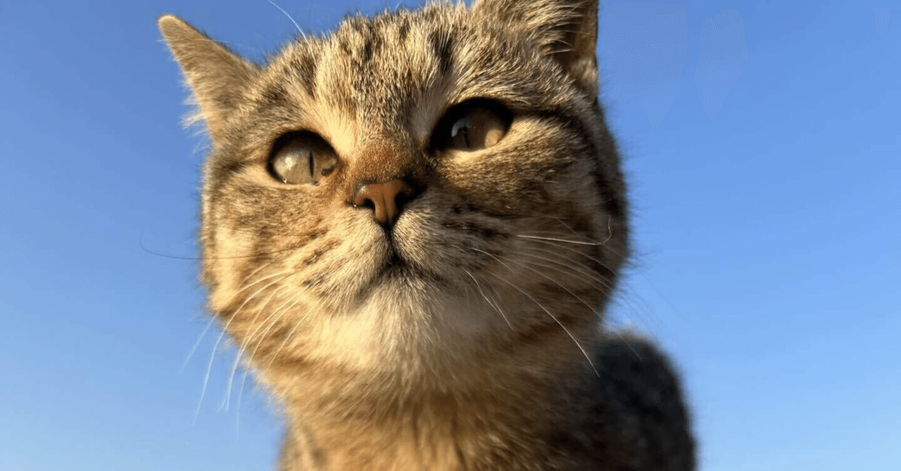 人間を捧げよ。すべての犠牲は今この高い賃金のために：椅子理論と資本主義の話｜N Takuma