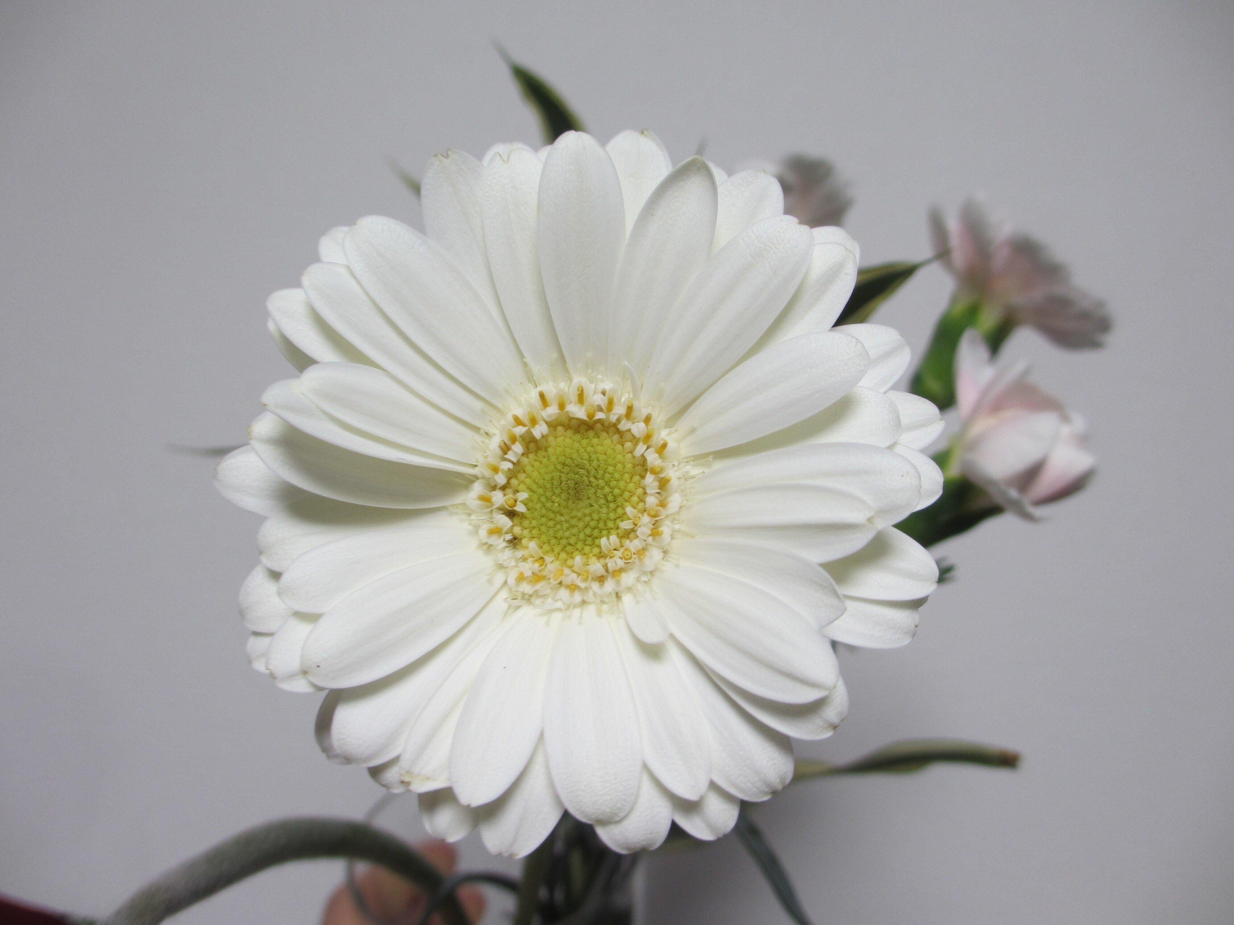 1705回目 3月8日（土）雨の日に｜市川裕子