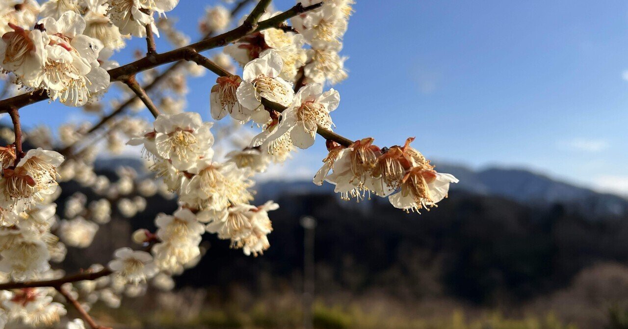 DAY 47 ハイブリッド・ウォーキング｜jucon110