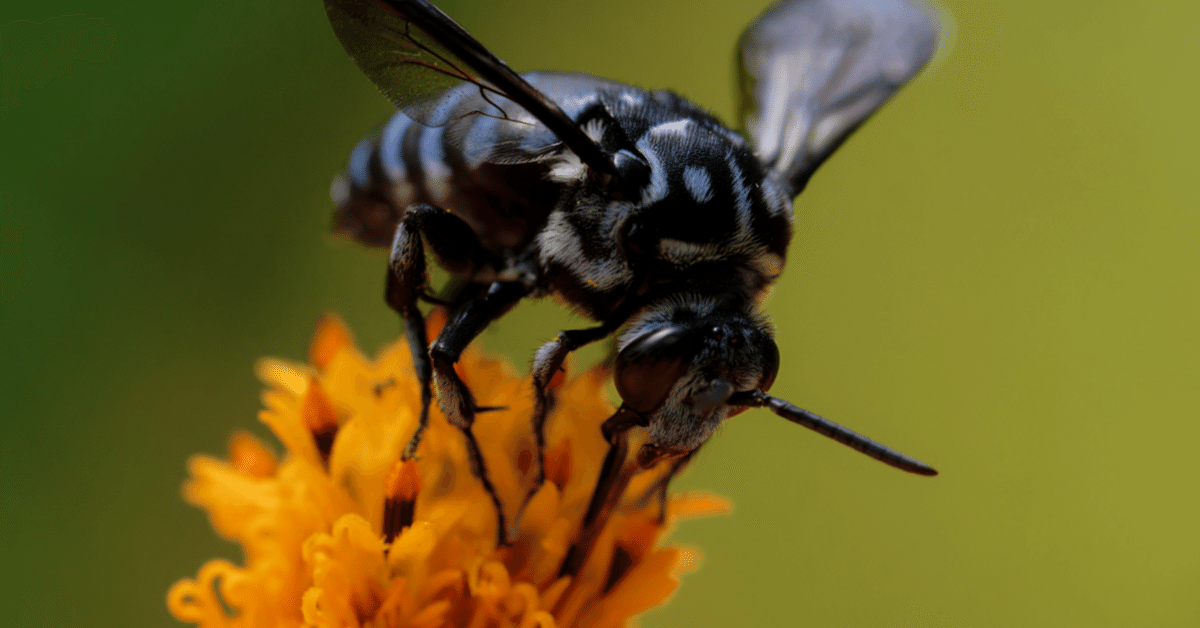 【写真】「寄り」の写真、「引き」の写真｜Yusuke Marianne
