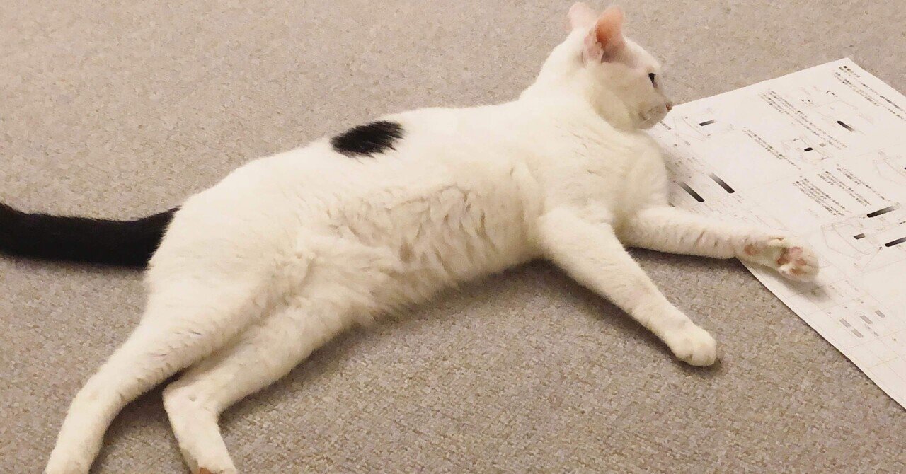 『10分読書』吉田裕子｜unitason