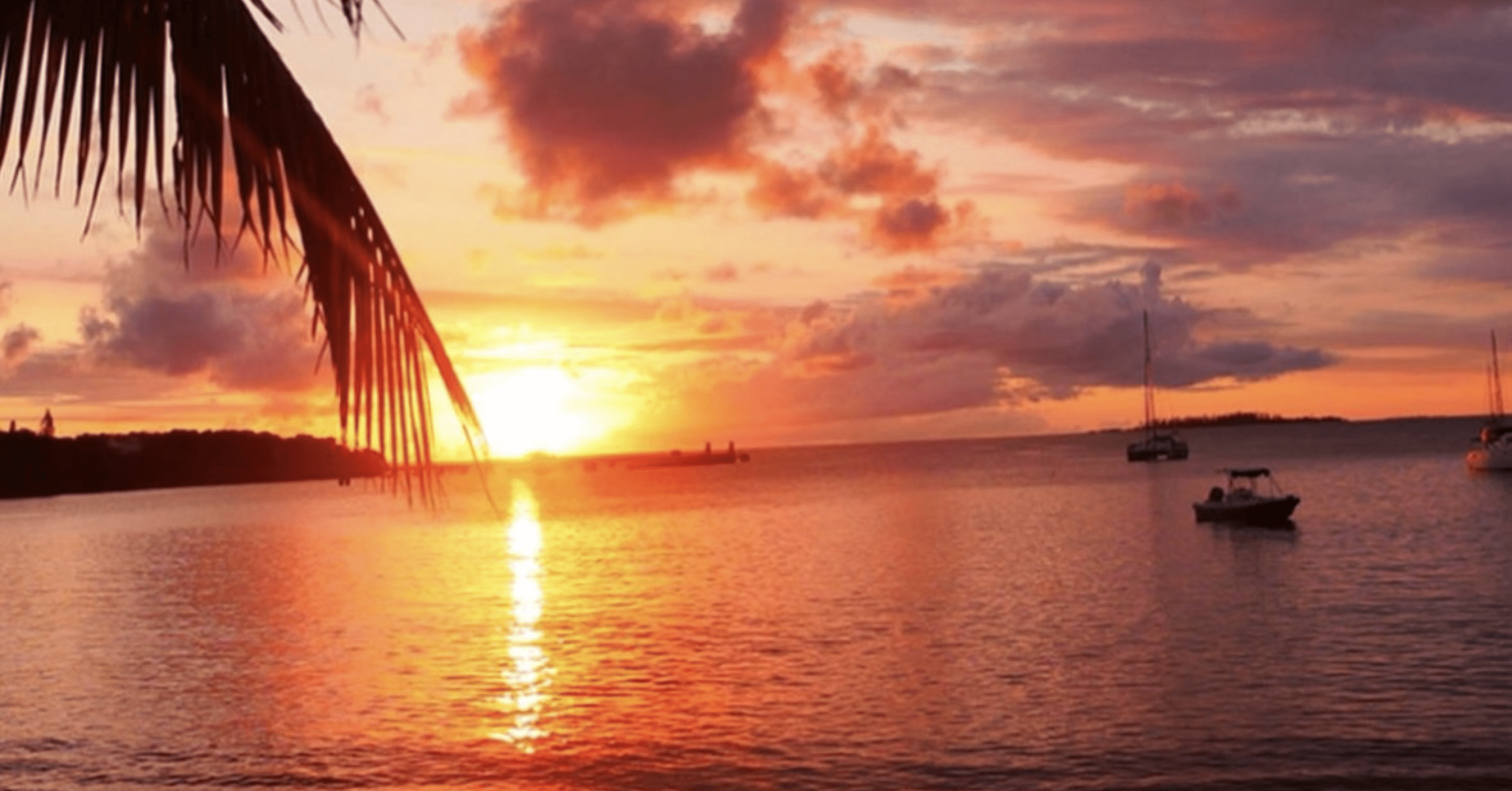 zono @ ︎Travel hack｜note