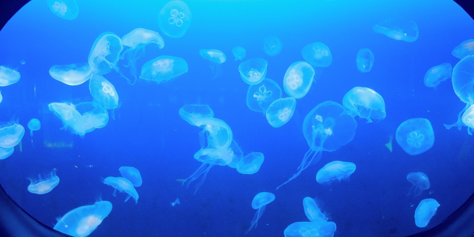 写真と旅と】｜CHiKA｜note