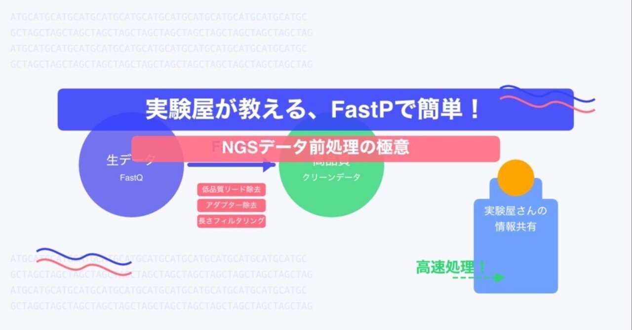 実験屋が教える、FastPで簡単！NGSデータ前処理の極意｜Ozk