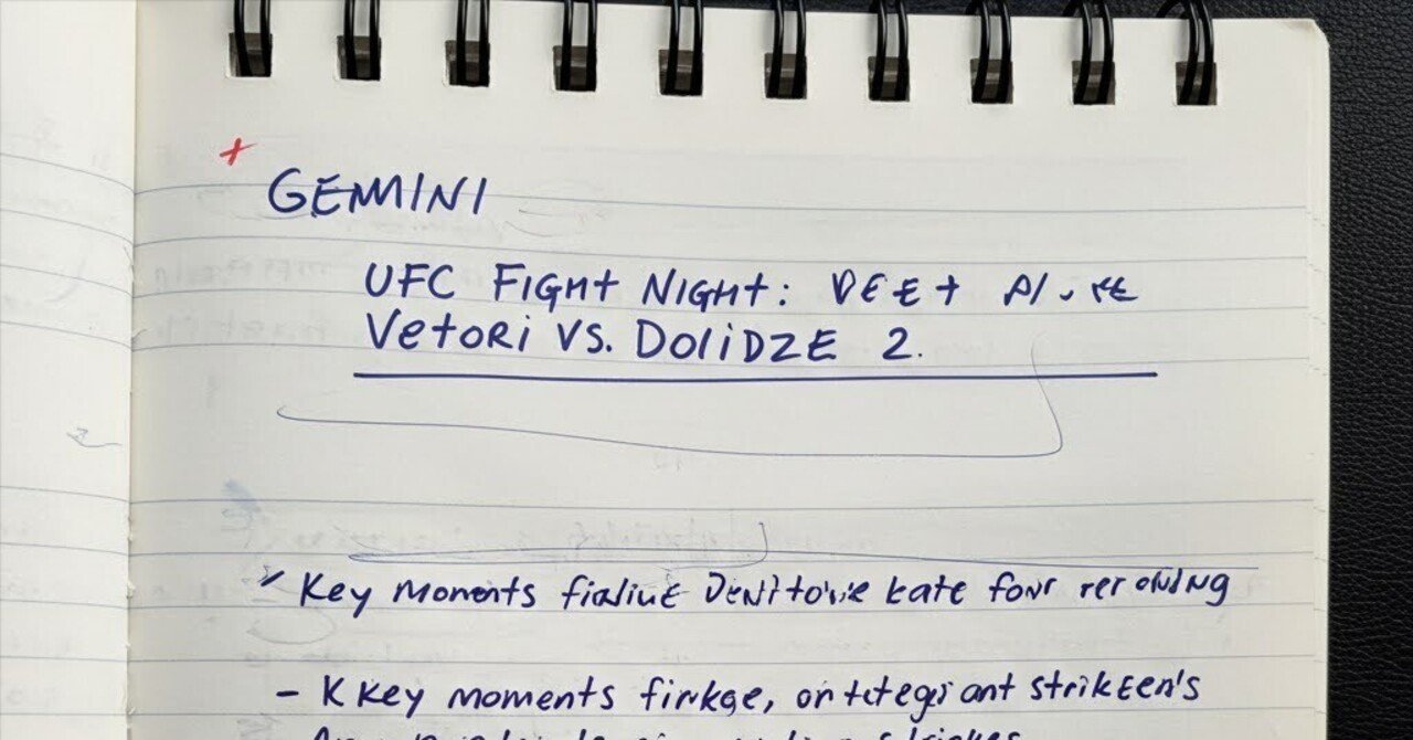 UFC Fight Night 254 試合展望：Marvin Vettori vs. Roman Dolidze 再戦｜きうちさん