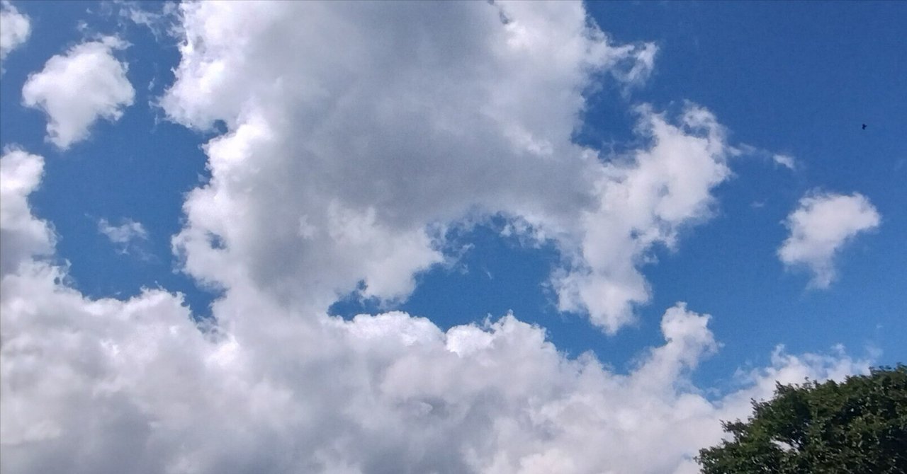 やってはいけないこと。｜Okadon おかどん