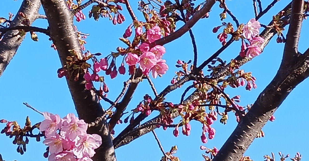 note 記事にcomment｜blue06_2022