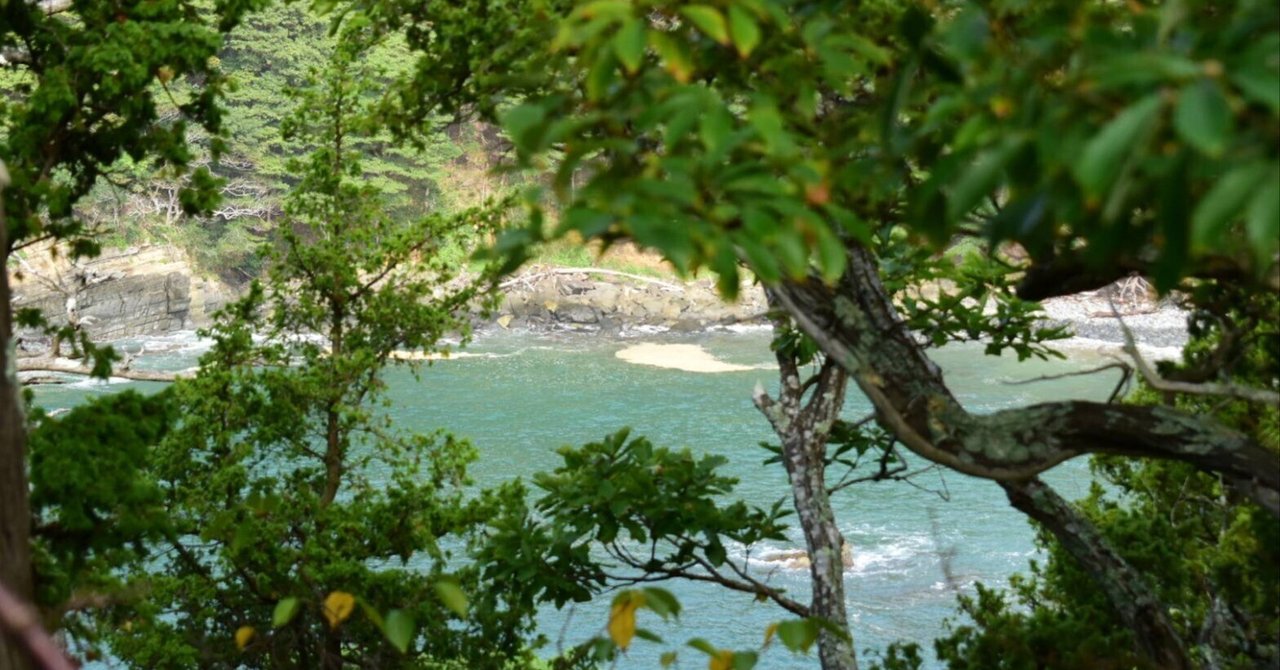 東日本大震災から14年、幼稚園バスにいた私は20歳になりました。｜Chisato | AIネイティブ開発×AgriTech