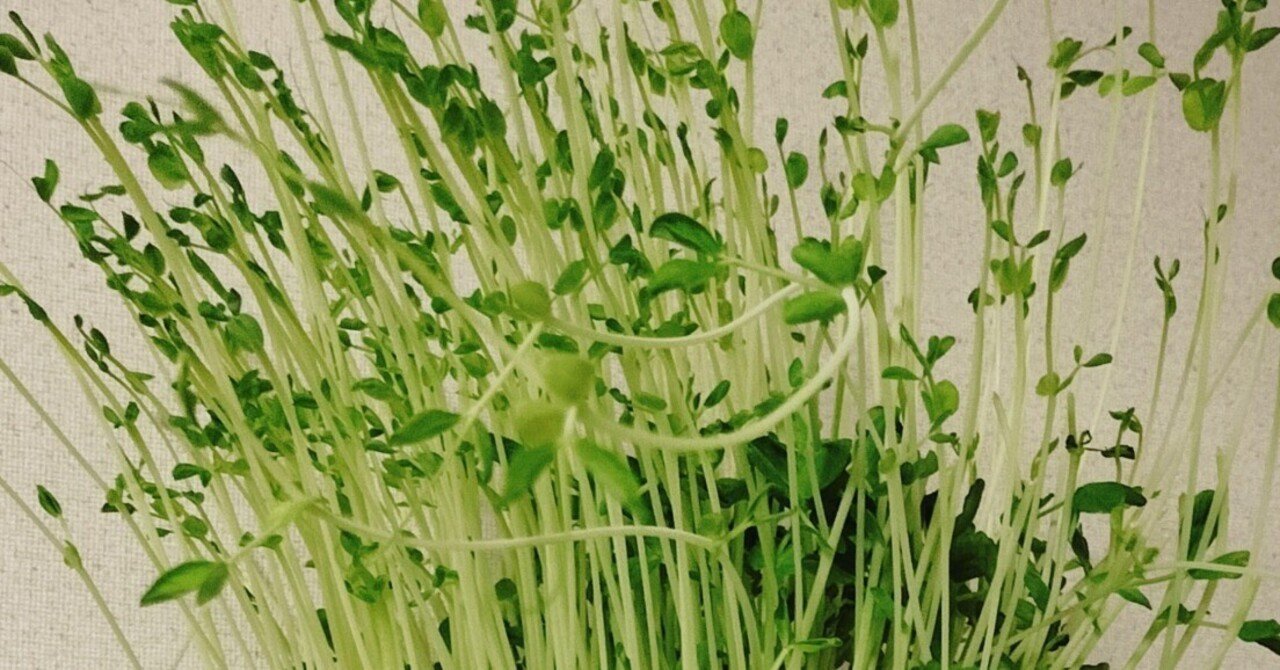 VSコロナウイルス｜MIKAN_LABO