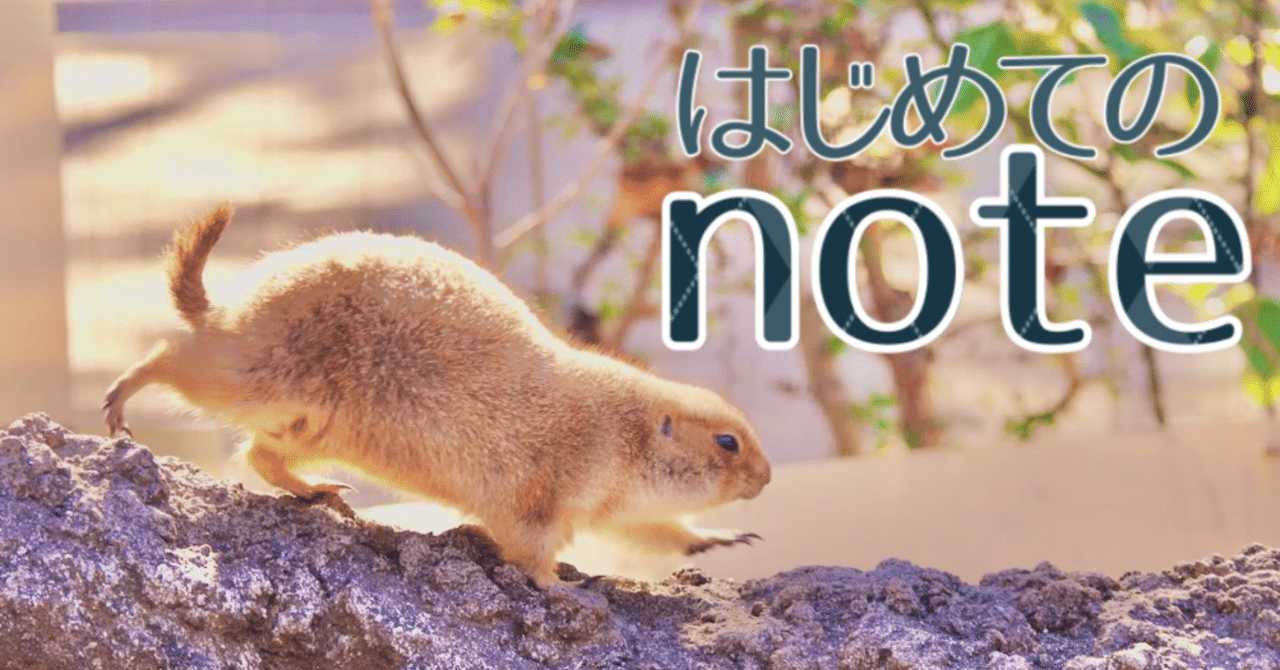 はじめてのnote｜Monami